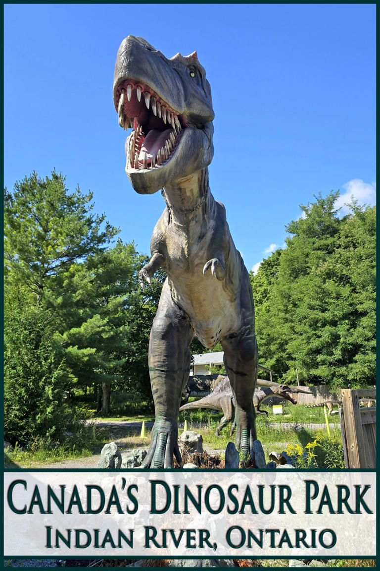 Canada's Dinosaur Park