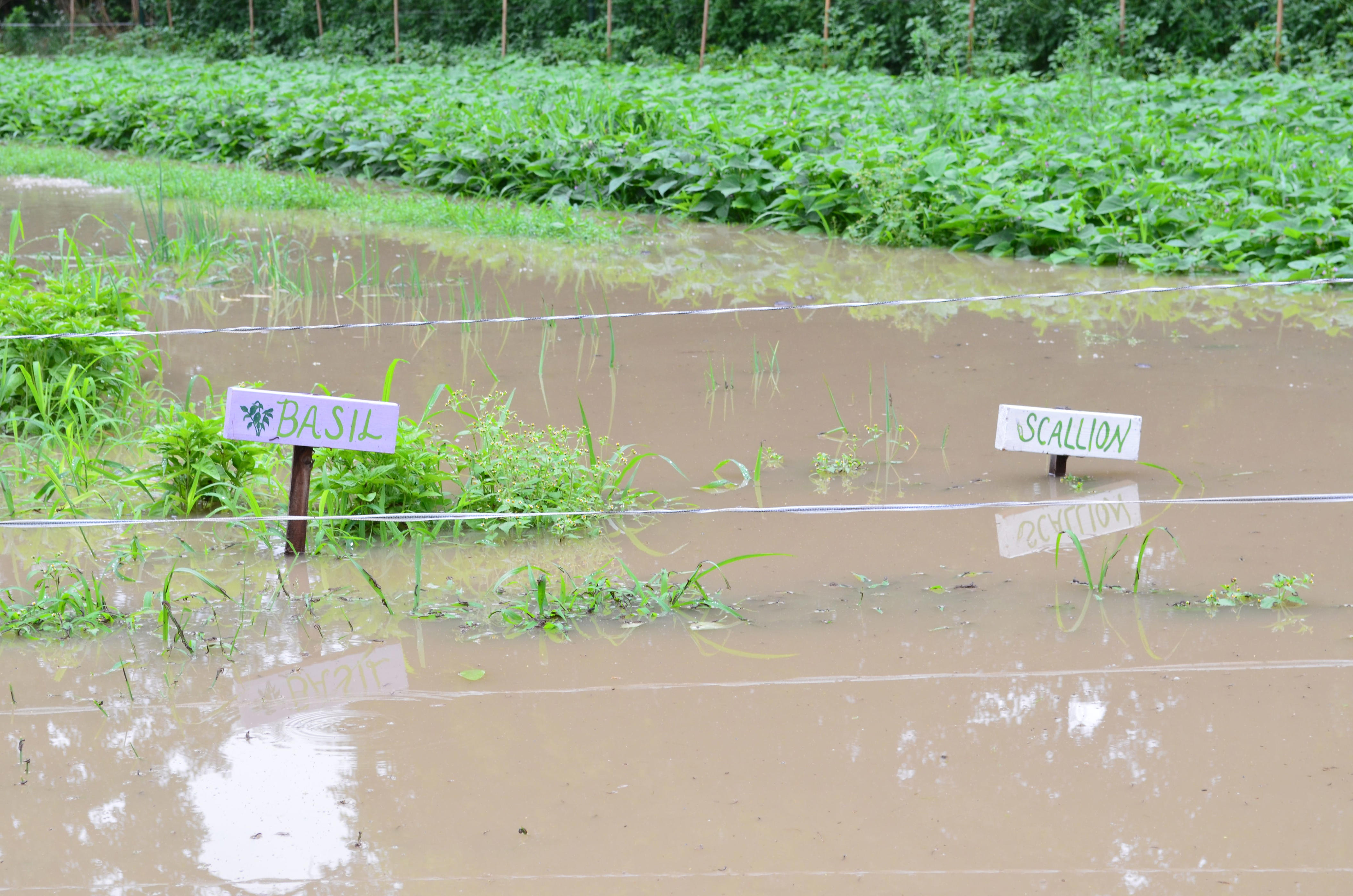 Buying or selling property in Vermont? Here's how a new flood map law ...