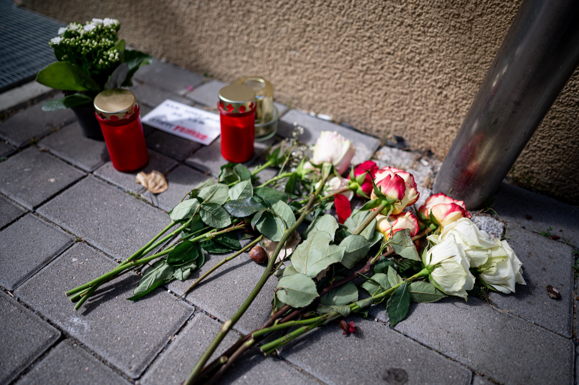 TikTok influencer shot dead while live streaming