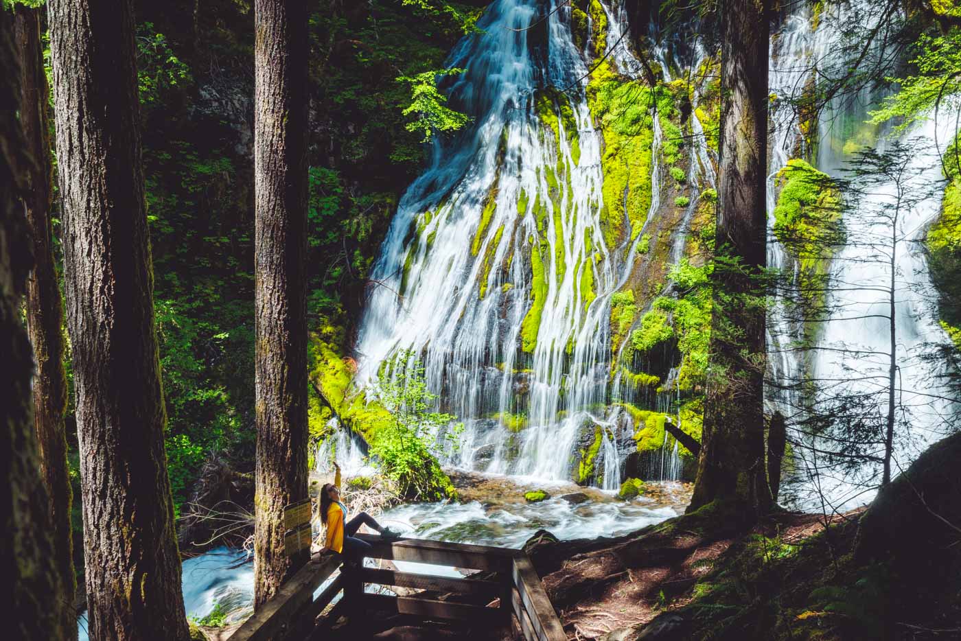 5 Super-Easy Waterfall Hikes in Washington That Are Worth It