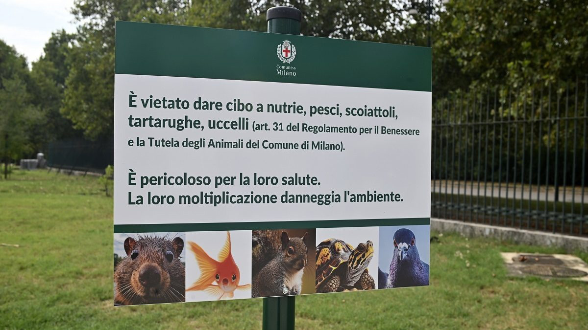 «Vietato dare da mangiare agli animali». Il Comune di Milano lancia la ... «Vietato dare da mangiare agli animali». Il Comune di Milano lancia la ...