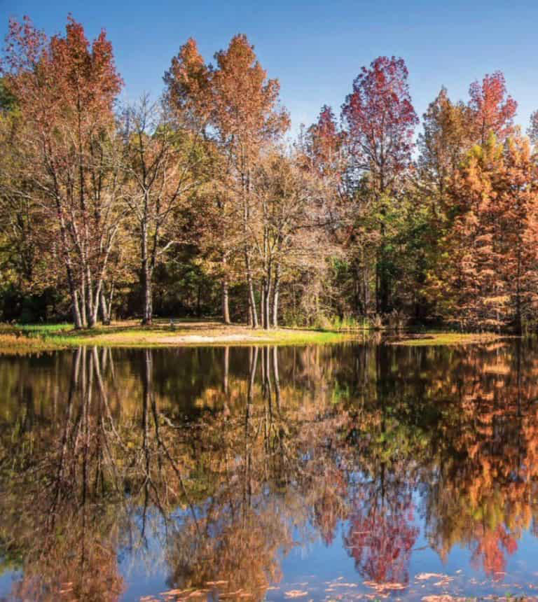 Fall in Texas- 12 Places to See Amazing Fall Colors in Texas