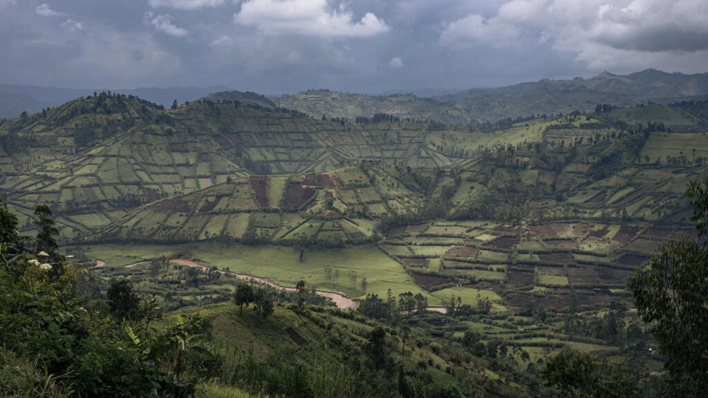 RDC: intensification des combats dans l'est du pays RDC: intensification des combats dans l'est du pays