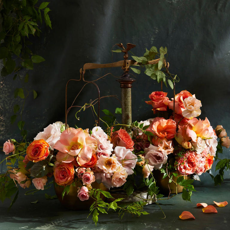 The ultimate flower for capturing a Libra's romantic spirit, according ...