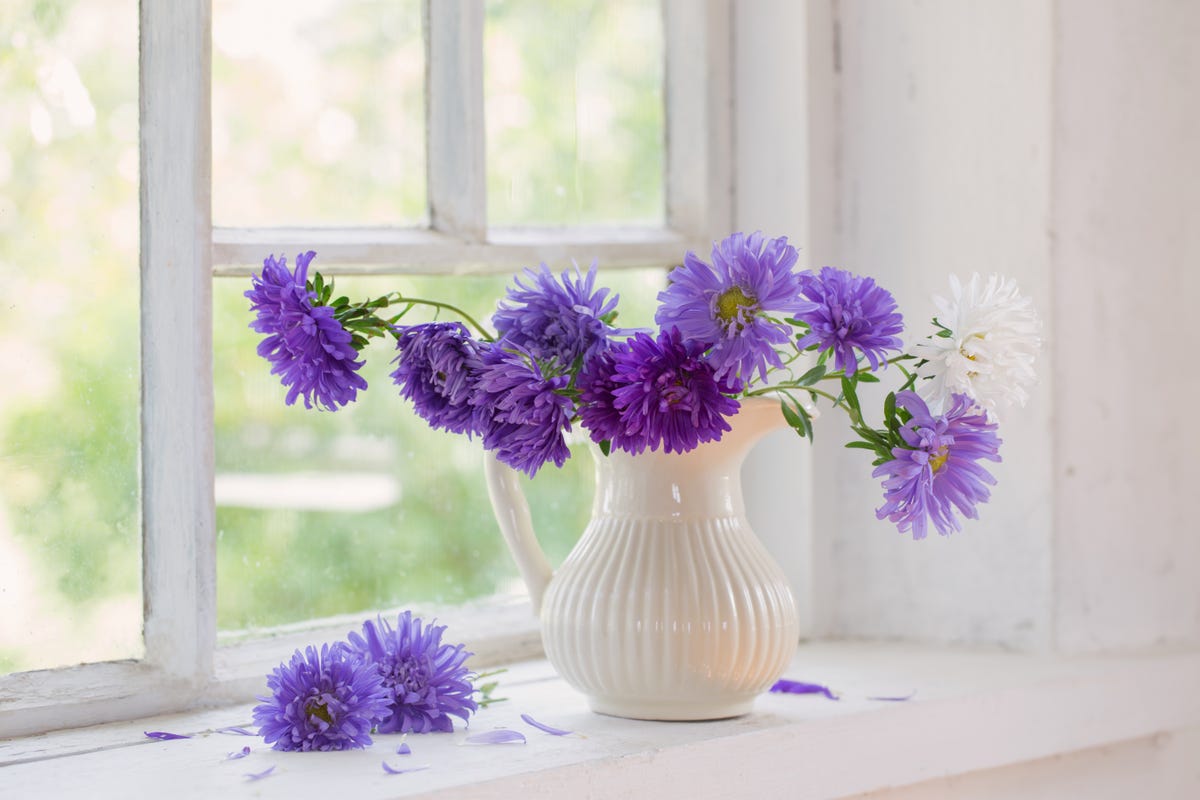 What's Your Birth Flower? Find Out What Yours Is and What It Means