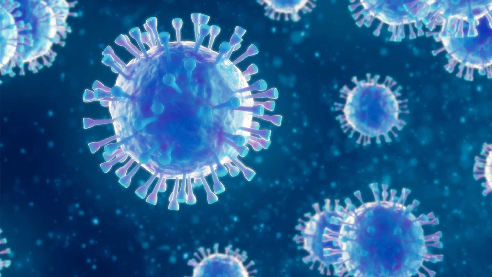 Triad officials highlighting importance of measles vaccination