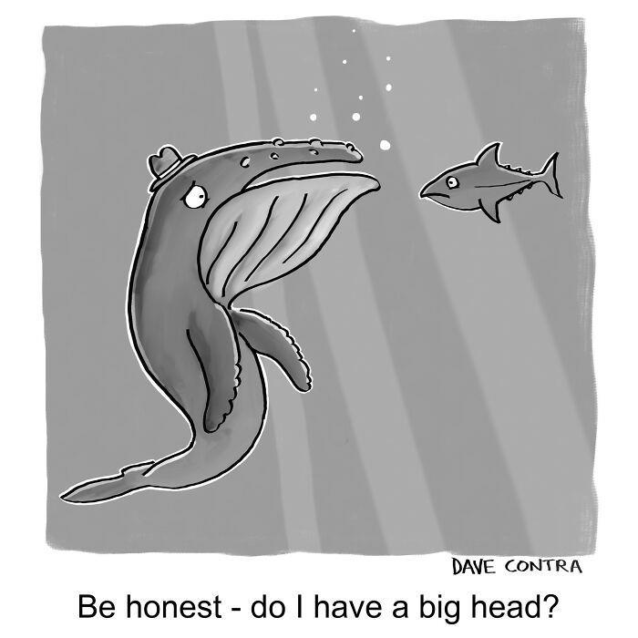 35 Funny, Dark And Twisted New Comics By Dave Contra (New Pics)