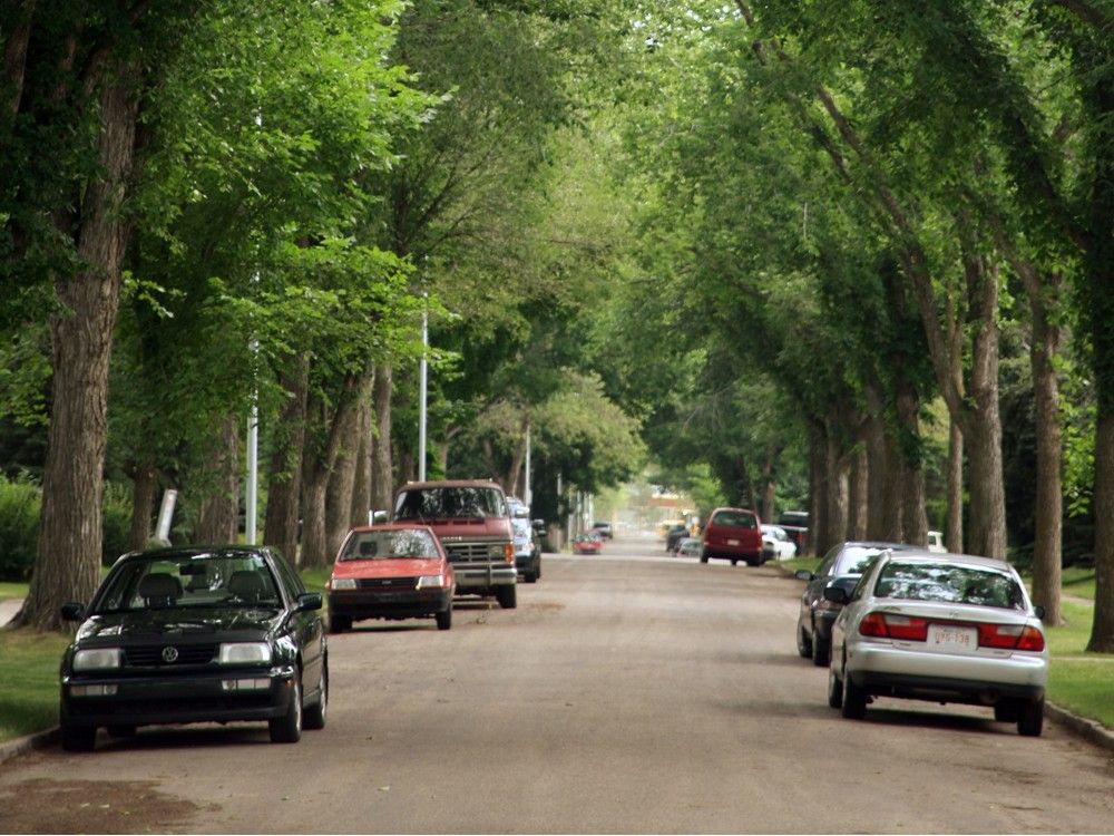 Edmonton wants to grow its tree canopy but some developers oppose ...