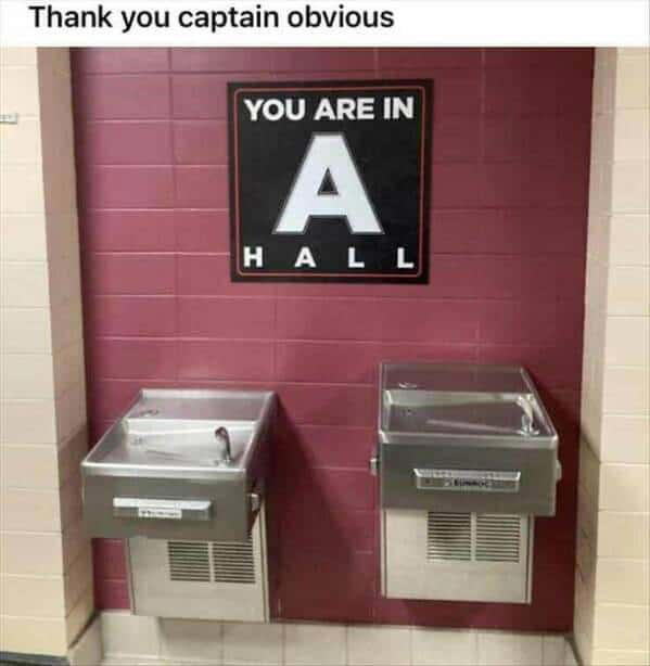 45 Funny Pictures That’ll Have You Spitting Out Your Morning Coffee ...