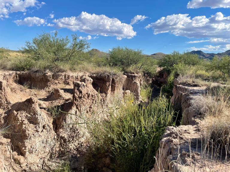 Arizona wants this city to cut its groundwater use. Residents want ...