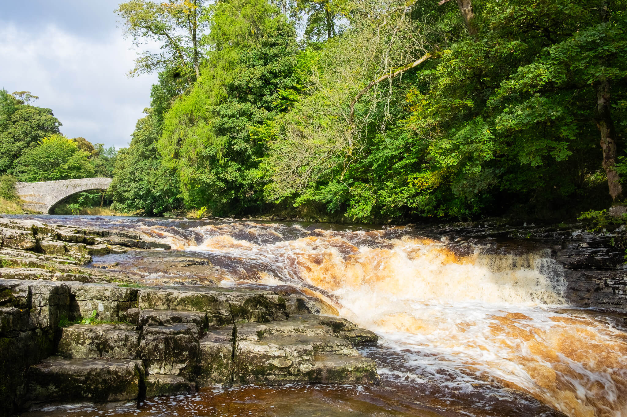 Stainforth Force to Settle: A Lovely Leisurely Riverside Walk