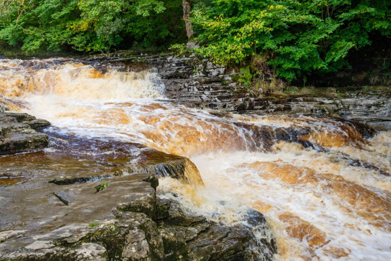 Stainforth Force to Settle: A Lovely Leisurely Riverside Walk