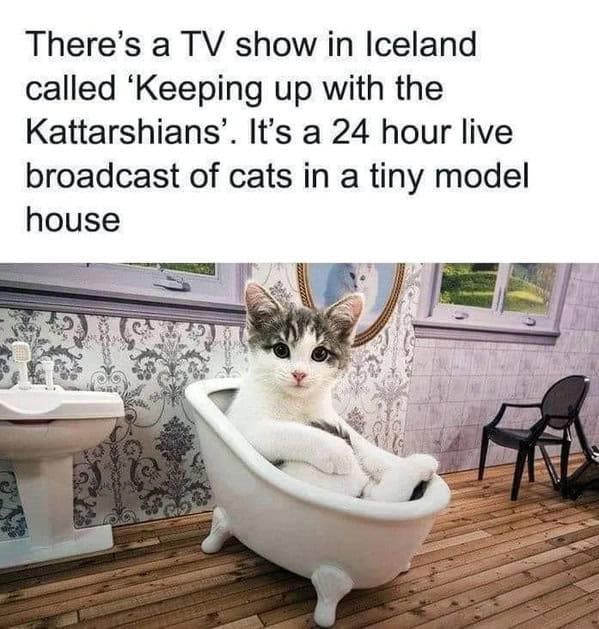 45 Funny Pictures That’ll Have You Spitting Out Your Morning Coffee ...