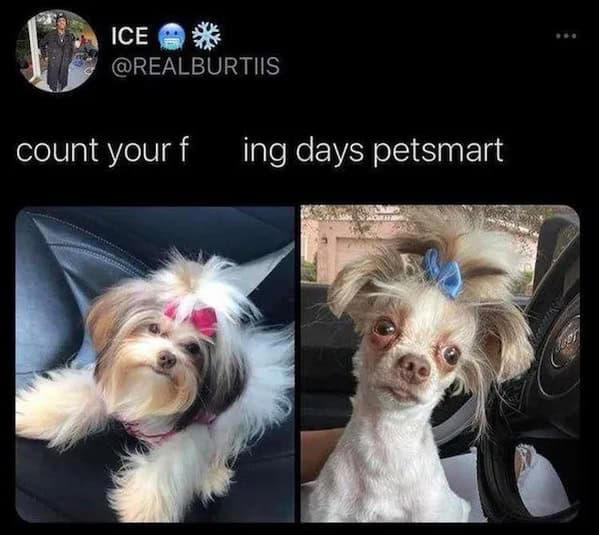 45 Funny Pictures That’ll Have You Spitting Out Your Morning Coffee ...