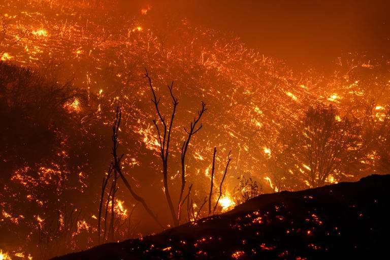 Line Fire Arson Suspect Pleads Not Guilty
