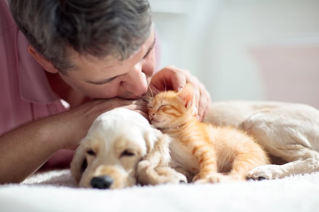 Should Retirees Get Pets? 5 Poignant Pros and Cons to Consider