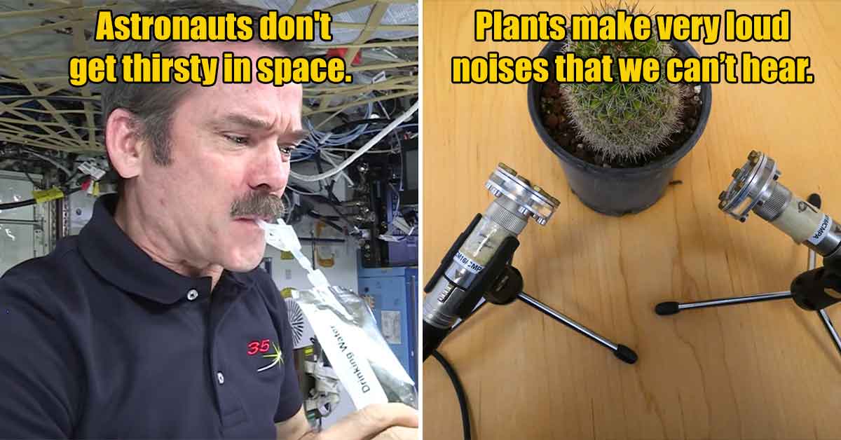 20 Stranger Than Fiction Science Facts