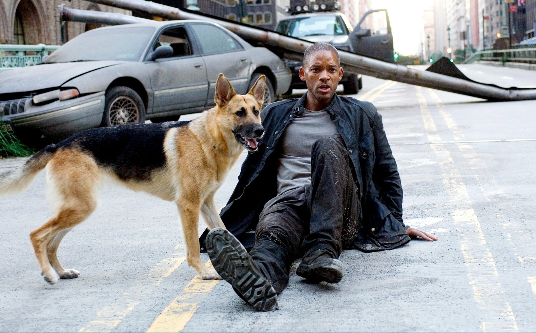 The most insane movie performances by animals