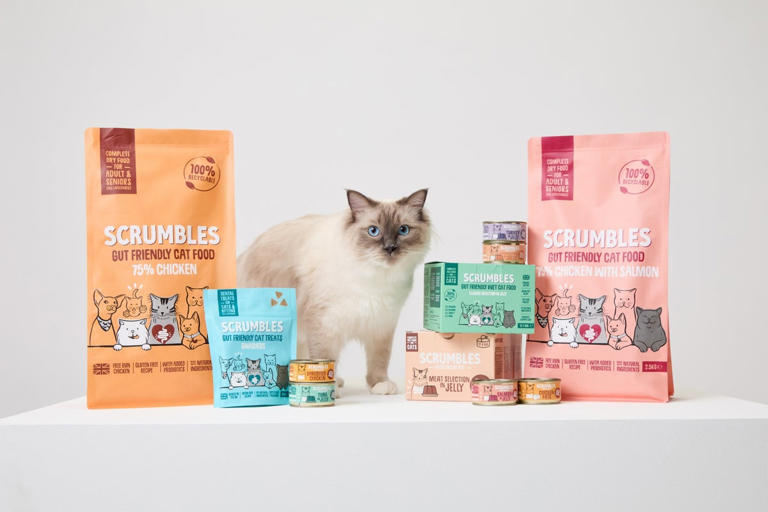 This pet food wants to improve your dog’s gut health This pet food wants to improve your dog’s gut health