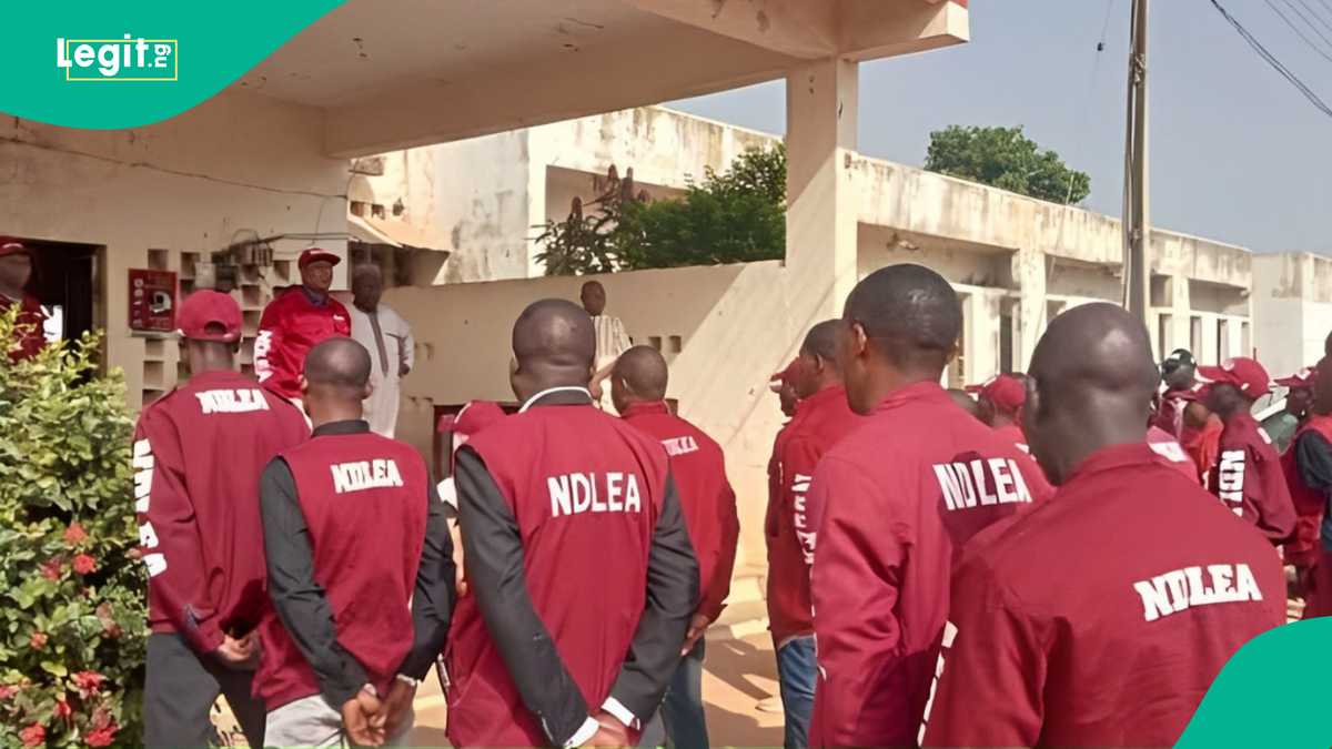 NDLEA arrests former councilor in a popular state, reason emerges