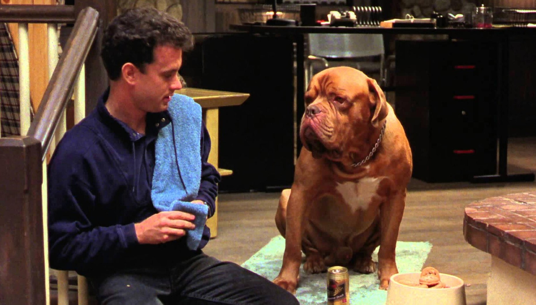 The most memorable dogs from film and television