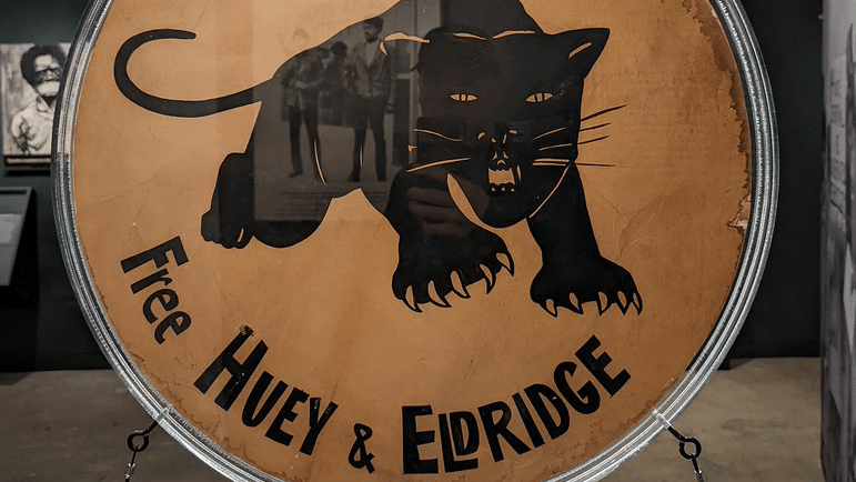 The Black Panthers in Algeria (Encore)