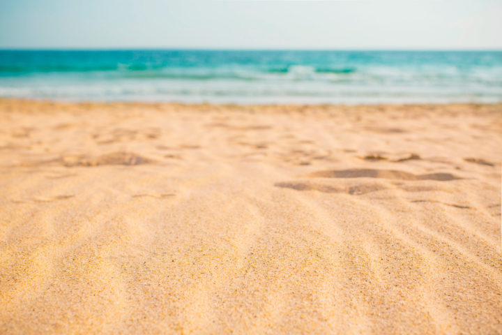 Assustador: homem interage com polvo mais mortal dos oceanos sem saber