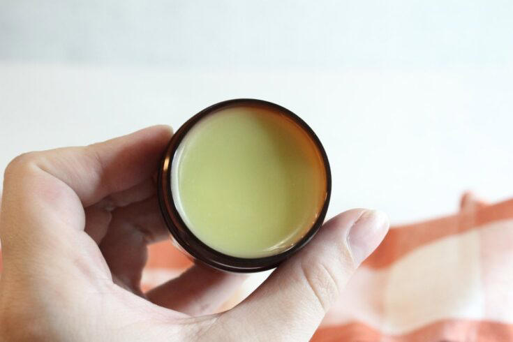 Best Homemade Lemon Balm Lip Balm for Cold Sores