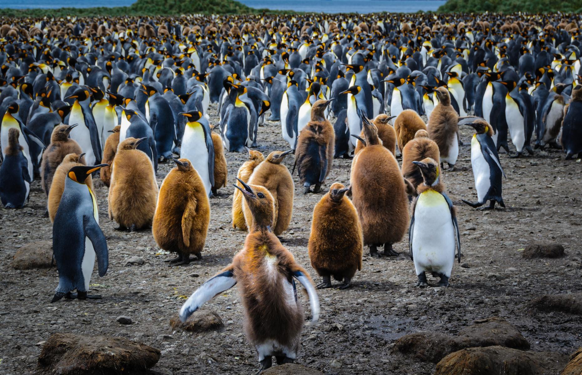 Britain's remote islands around the world