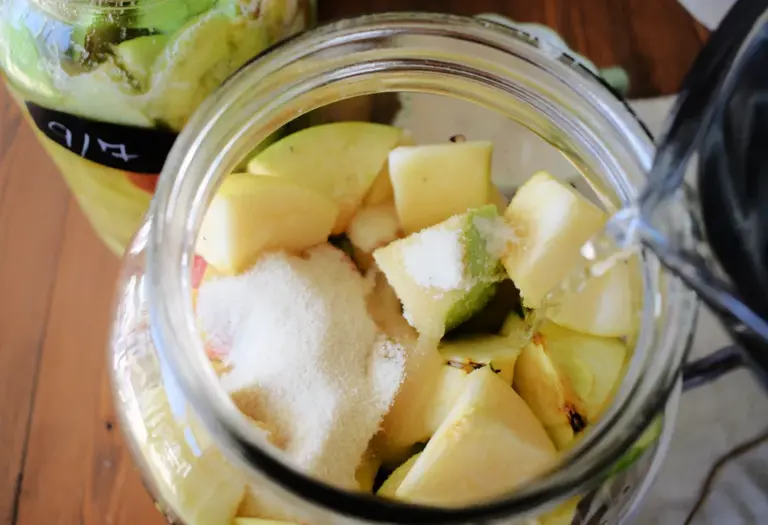 Easy Homemade Fermented (Raw) Apple Cider Vinegar