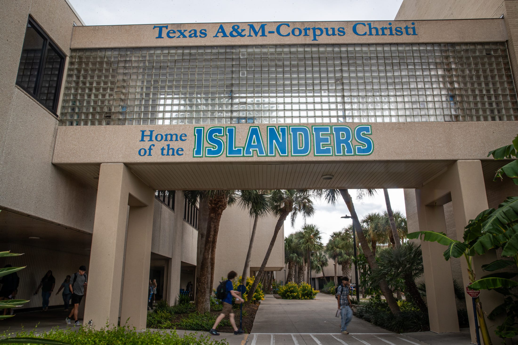Studying at A&M-Corpus Christi while parenting? Here's how you can get ...