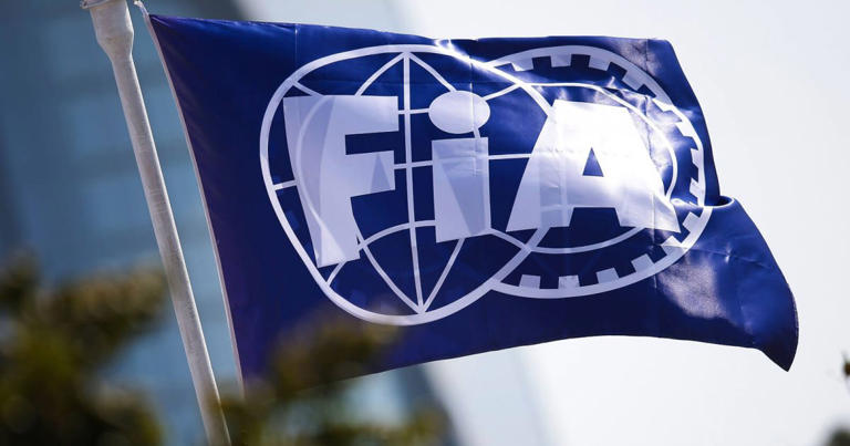 Crucial vote looms as FIA president makes new nomination after deputy ...