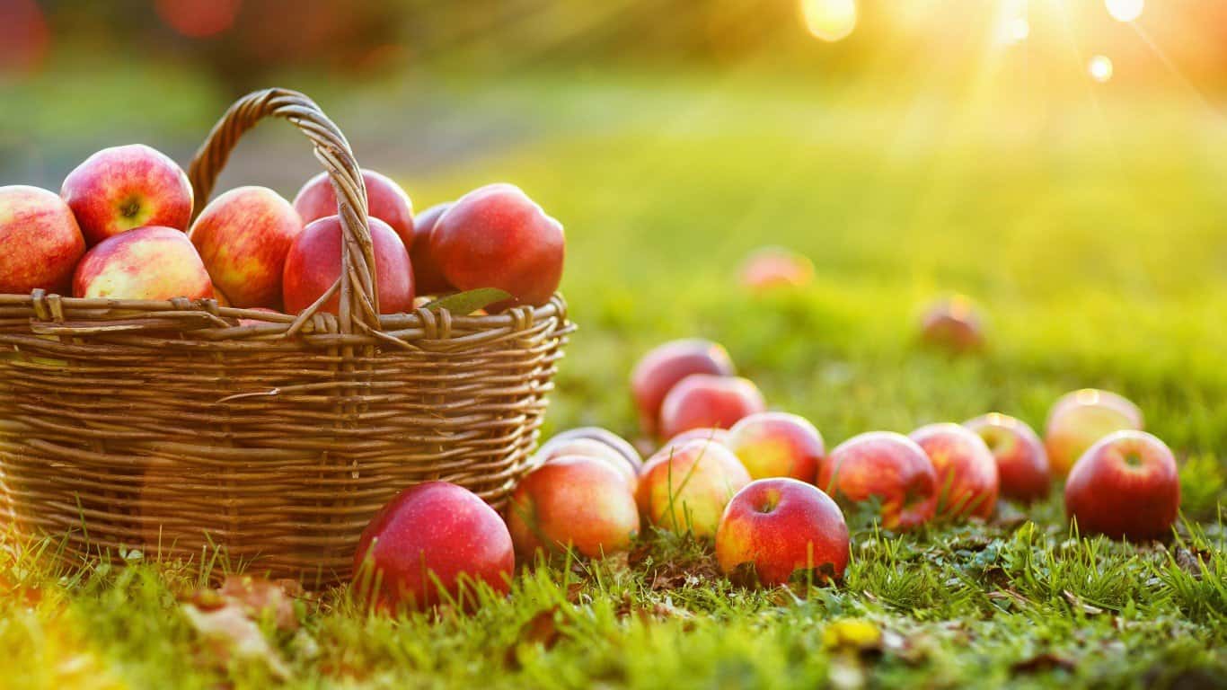 Discovering Michigan: Must-See Places and Things to Do