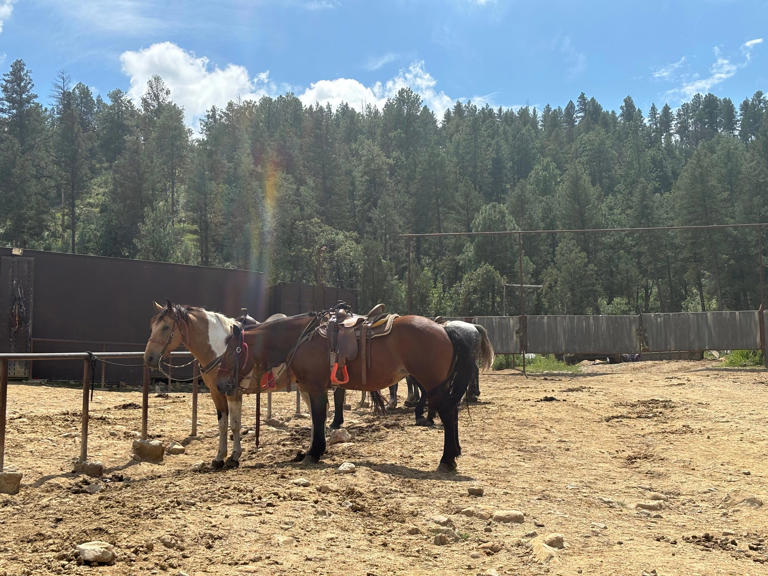 Things to do in Ruidoso: Where to stay, eat and play to have fun this ...