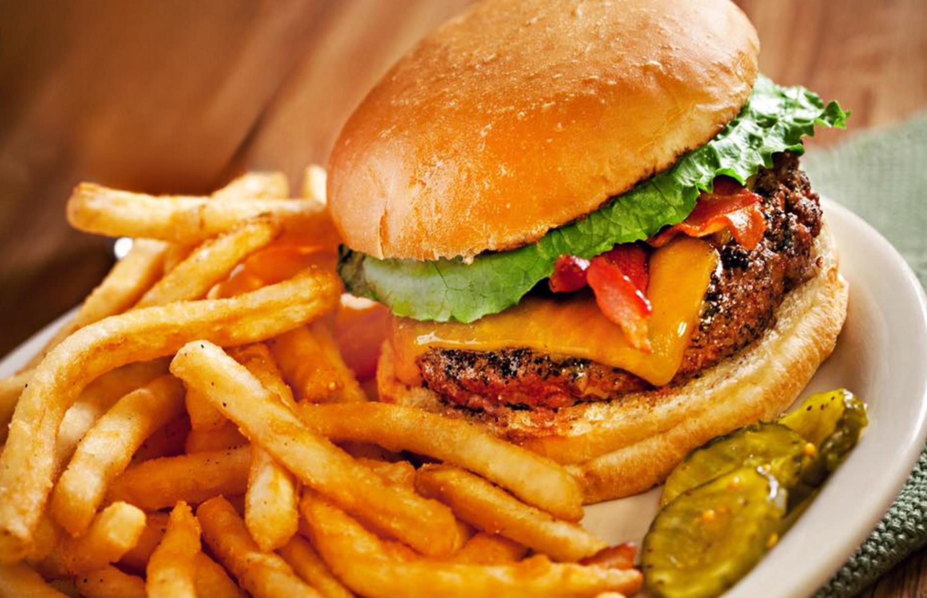 America's best cheeseburgers, state by state