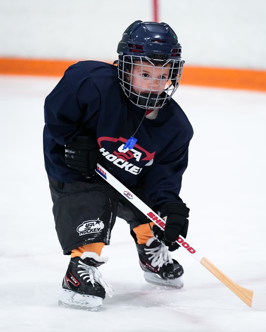 Try Hockey for FREE Day