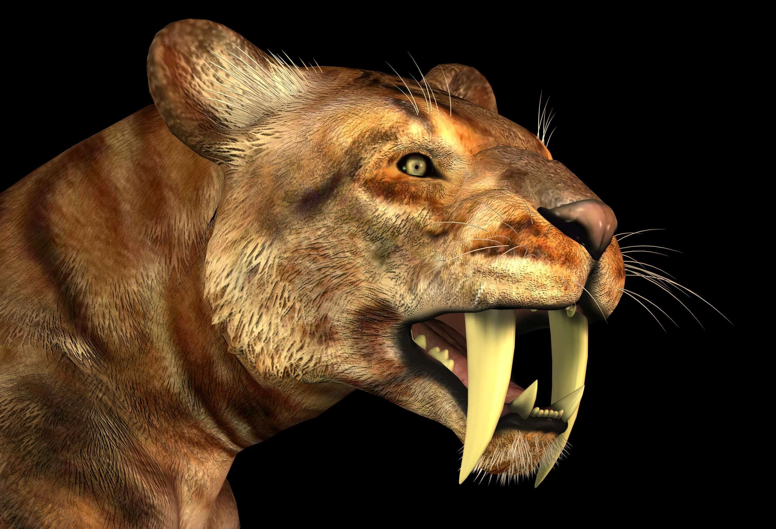 7 Extinct Big Cats