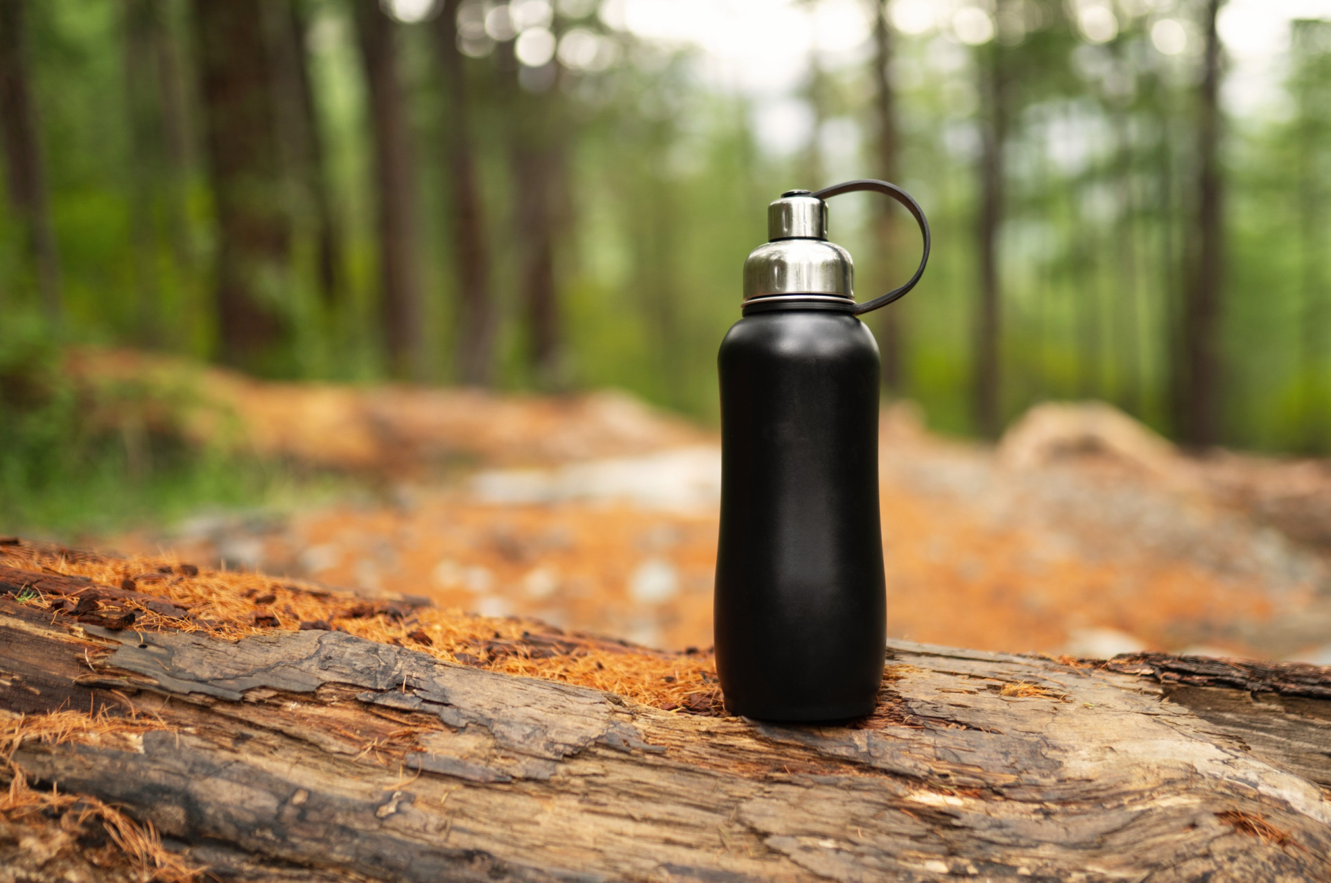 Common survival myths that are actually dangerous