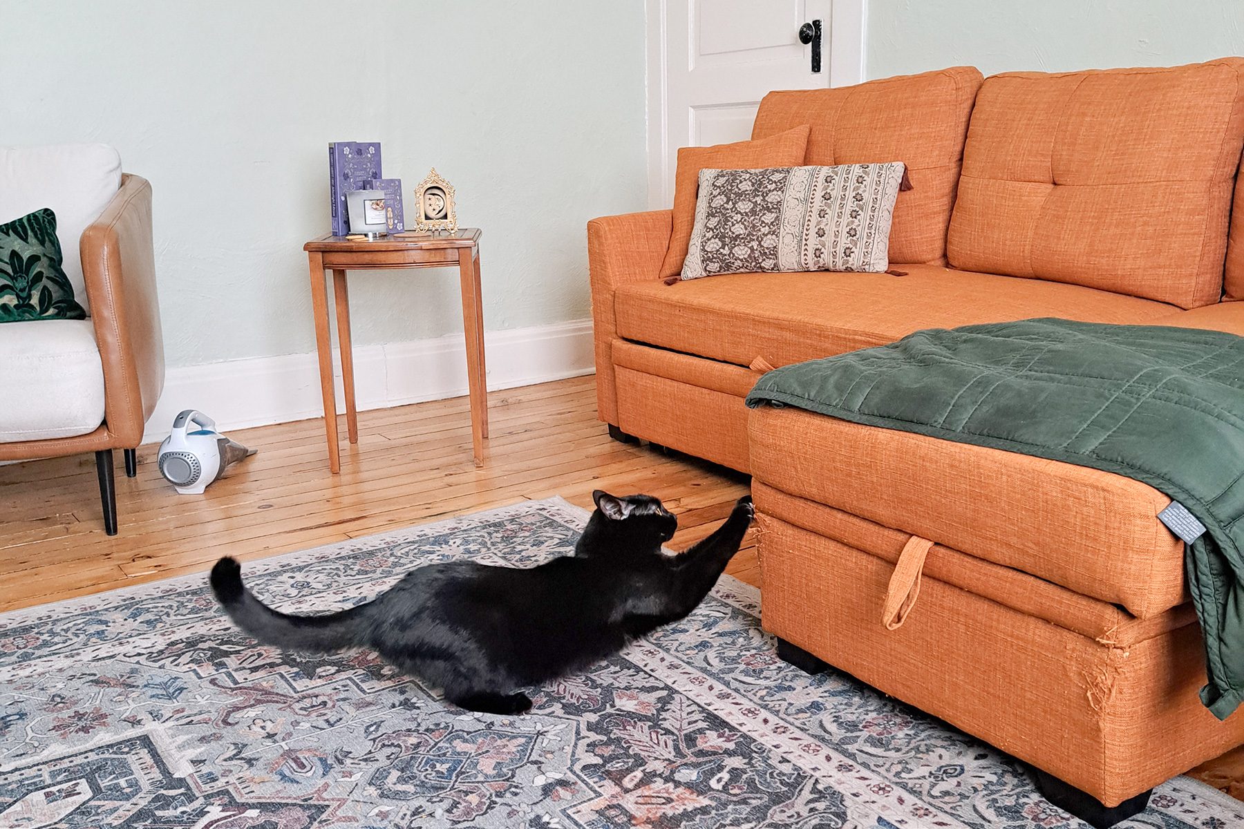6 best cat-proof couches, tested and reviewed by pet parents