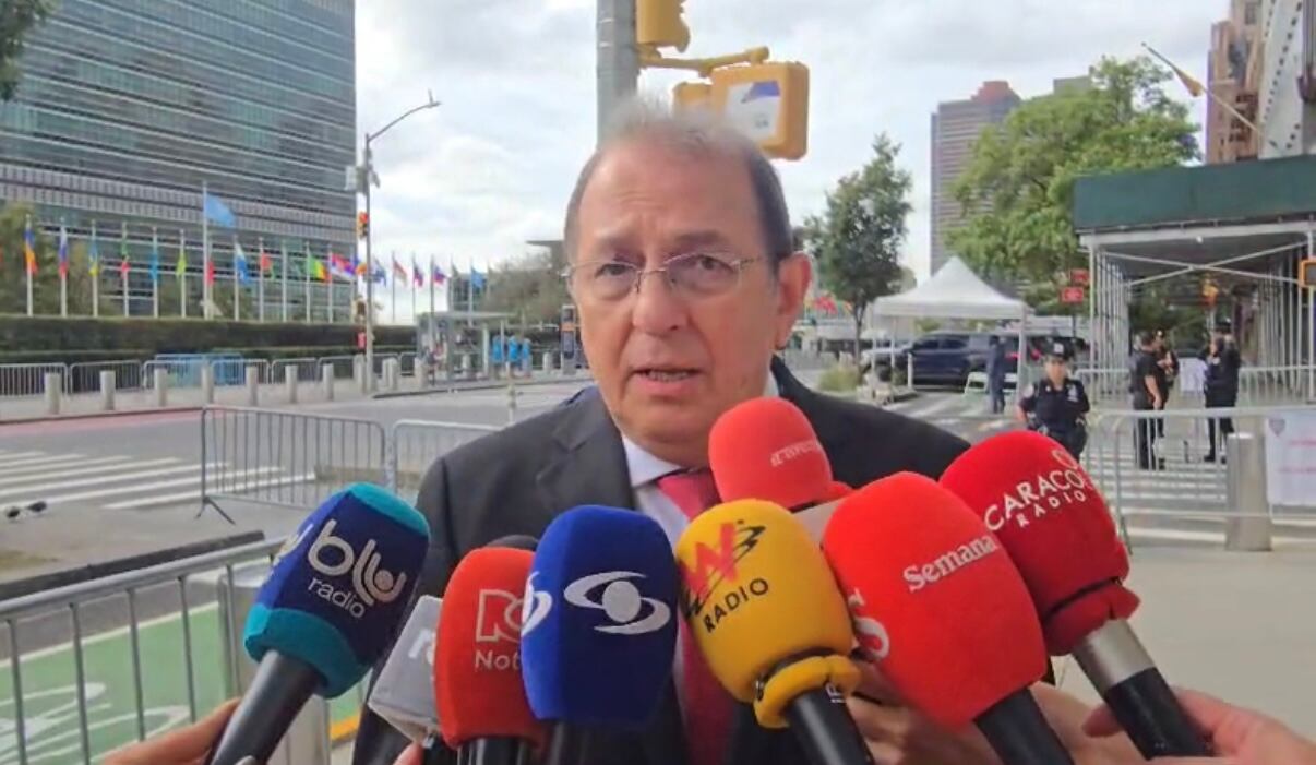 Vicecanciller Jorge Rojas anunció que el caso de Petro con el CNE ya ...