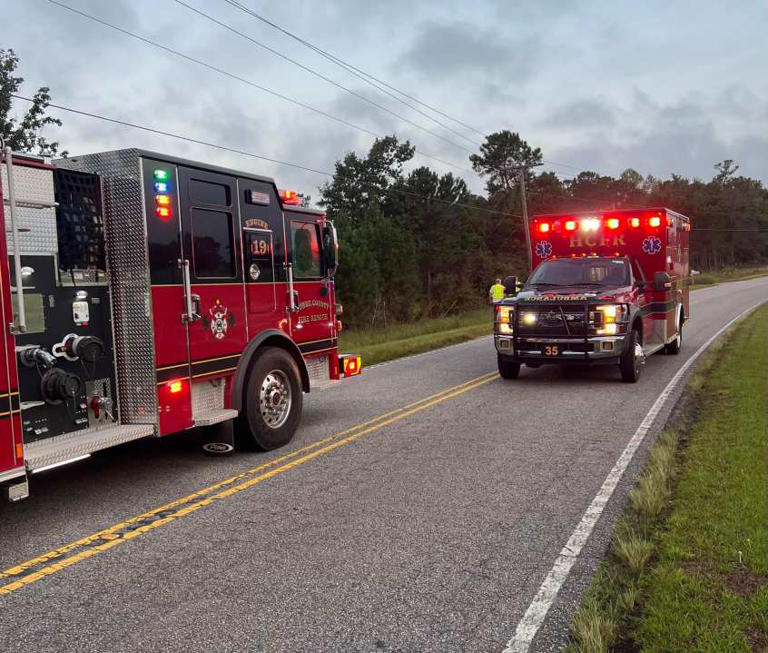 Coroner Identifies Man Who Died In Loris Area Crash While Fleeing From
