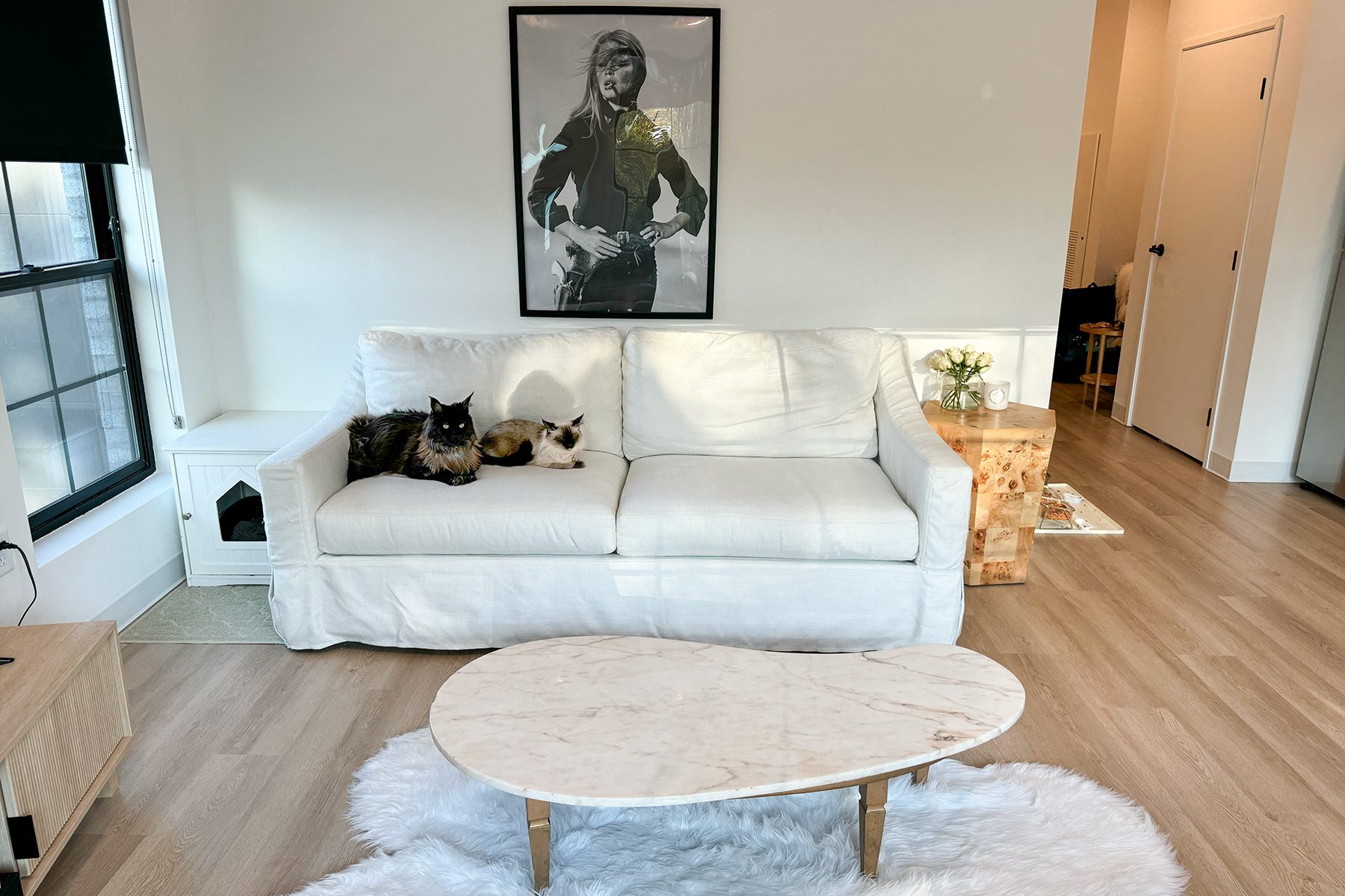 7 Best Cat-Proof Couches, Tested and Reviewed by Our Team’s Felines