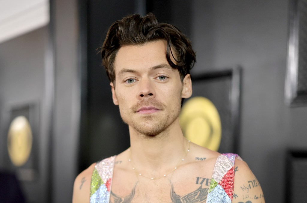 Harry Styles Makes Appearance at Pope Leo XIV's Unveiling at Vatican