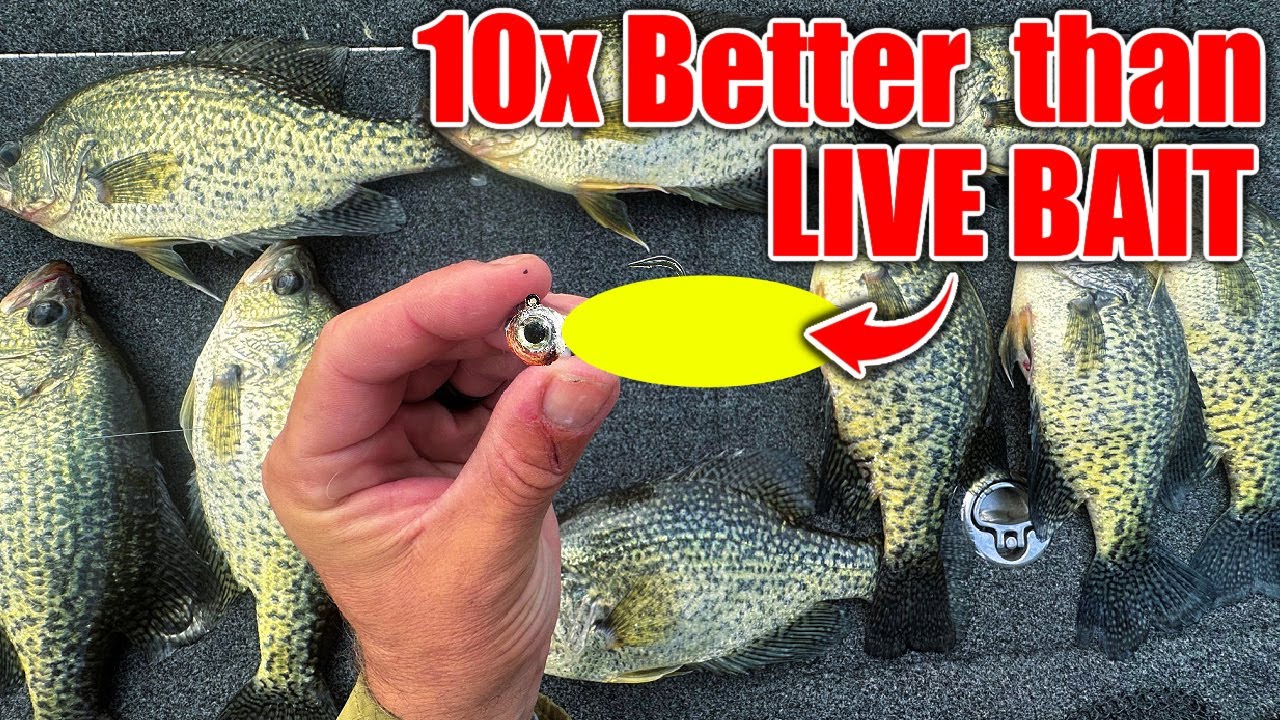This new lure outfishes live bait 10 to 1 for crappie and bass in winter