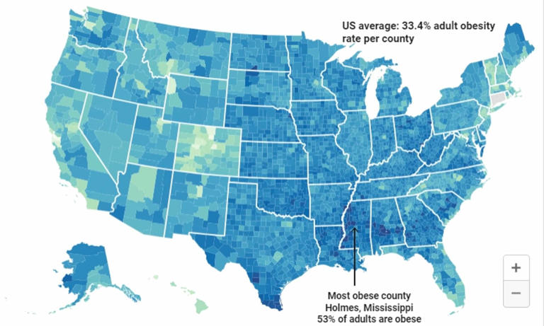 Interactive map reveals most obese counties in America Interactive map reveals most obese counties in America