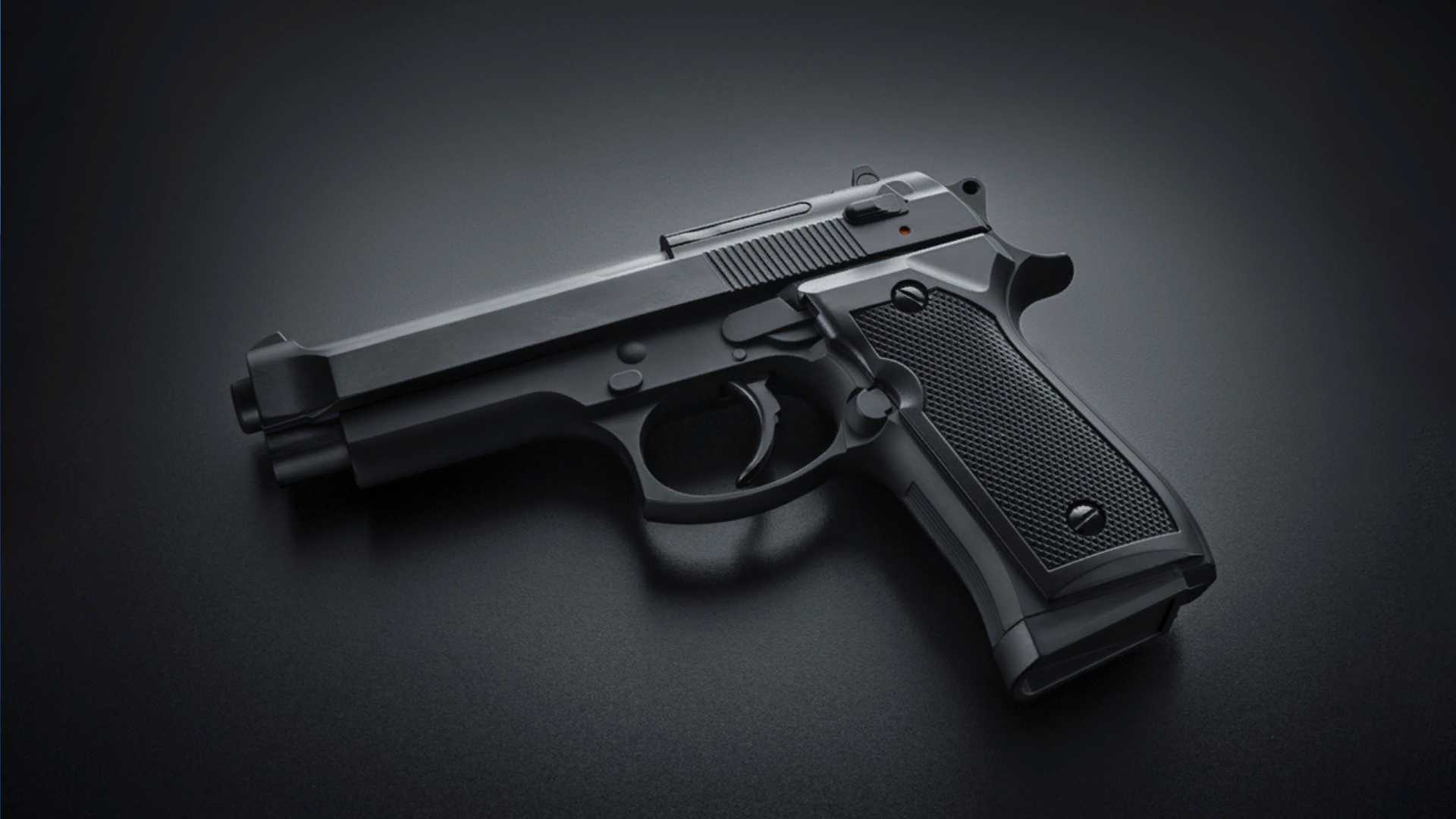 Bullet ricochets into nearby home after dog attack