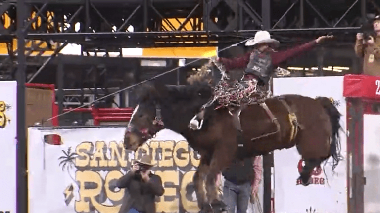 Investigation underway into horse death at Petco Park rodeo Investigation underway into horse death at Petco Park rodeo