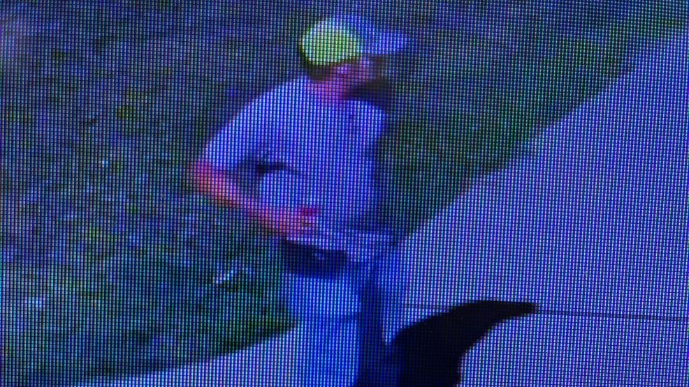Man sought after nearly two dozen windows broken at Cabell County ... Man sought after nearly two dozen windows broken at Cabell County ...