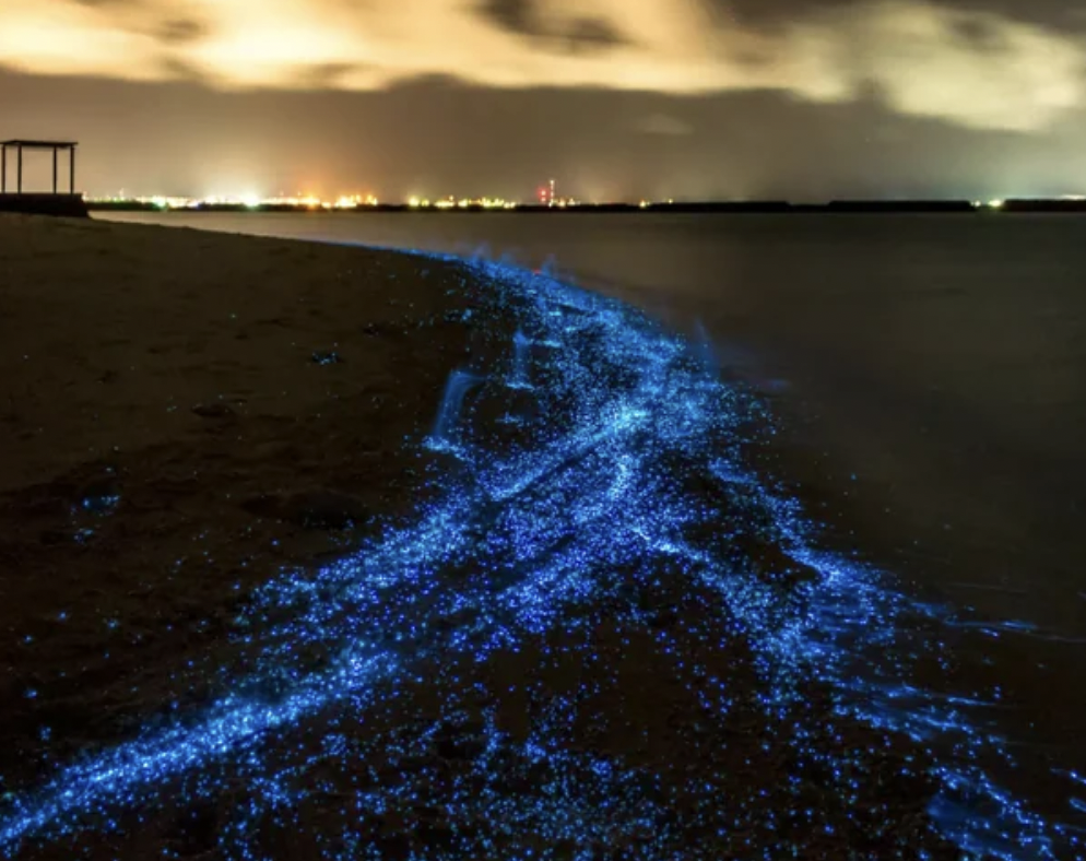 21 Visually Interesting Photos to Expand Your Horizons