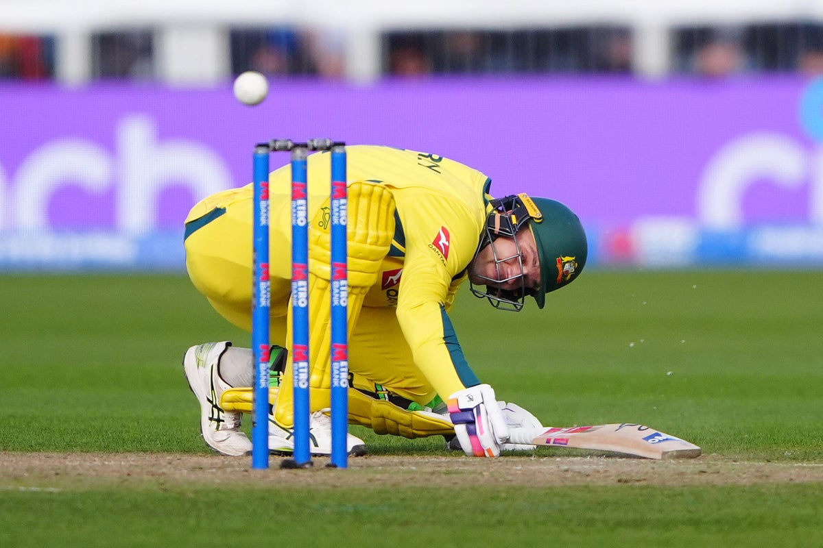Steve Smith and Alex Carey half-centuries put Australia in strong position Steve Smith and Alex Carey half-centuries put Australia in strong position